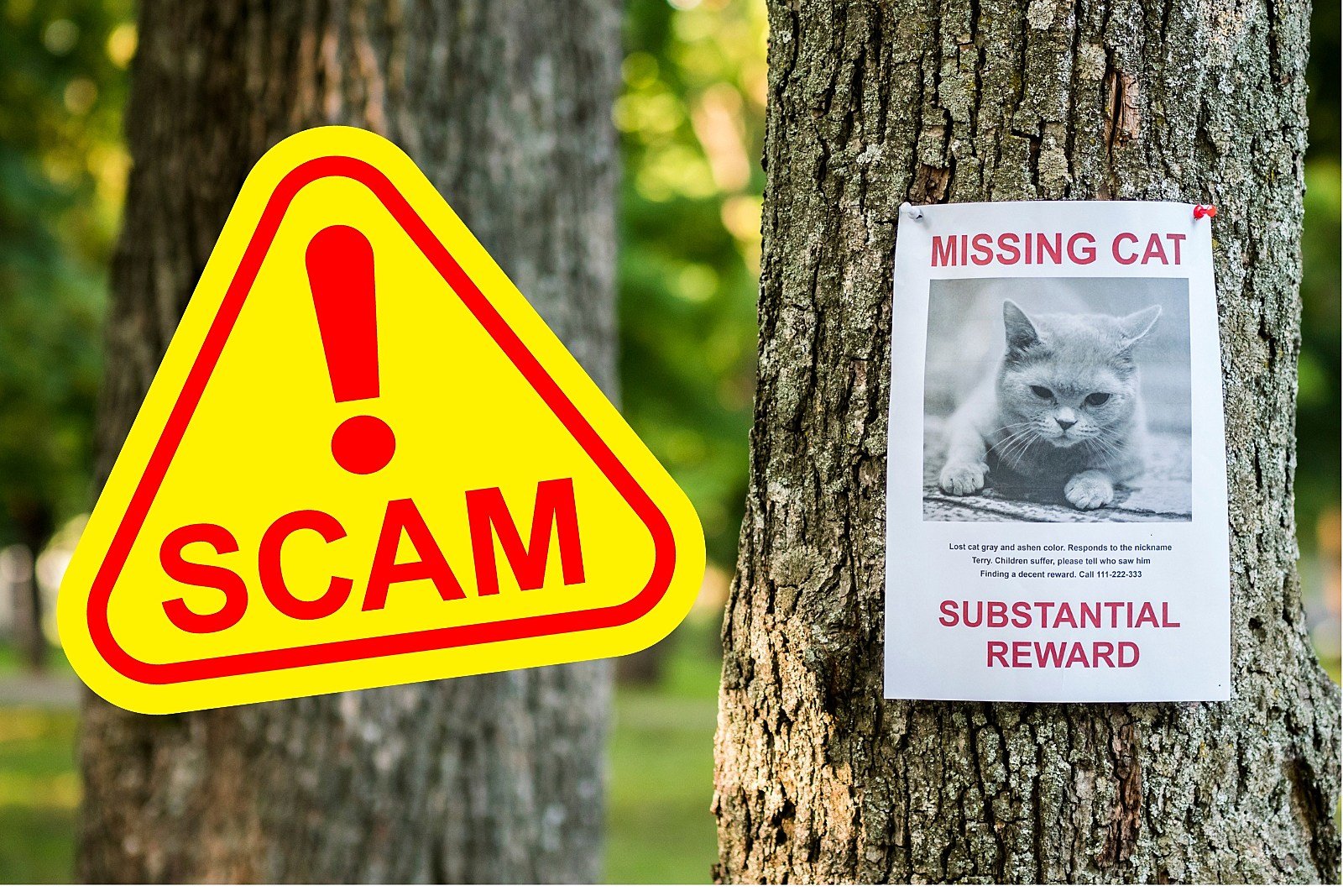 Scammers Prey on Pet Owners with Missing Animals - London Daily
